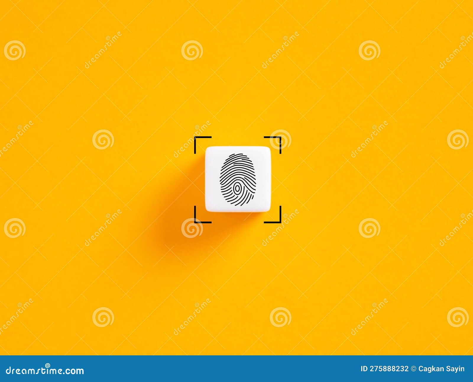 Fingerprint Scan Push Button. Encryption and Access Control System for ...