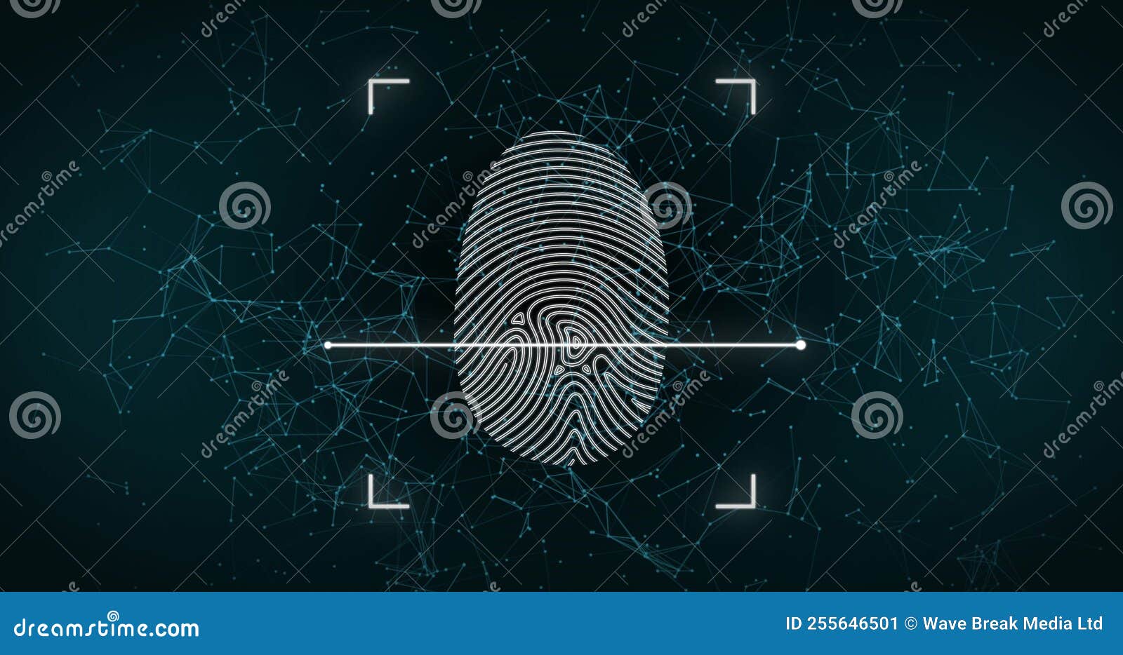Fingerprint Scanner Against Network of Connections Stock Illustration ...