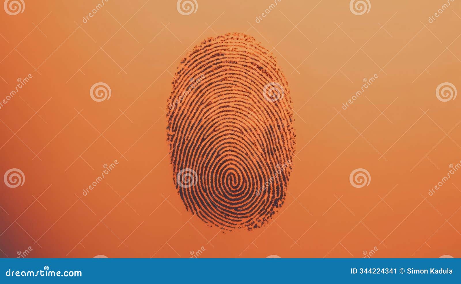 Fingerprint Showing Security, Identification, and Personal Privacy Data ...