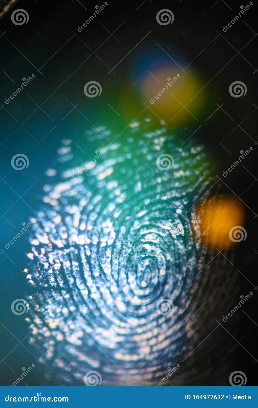 Fingerprint on a Transparent Surface Stock Photo - Image of macro ...