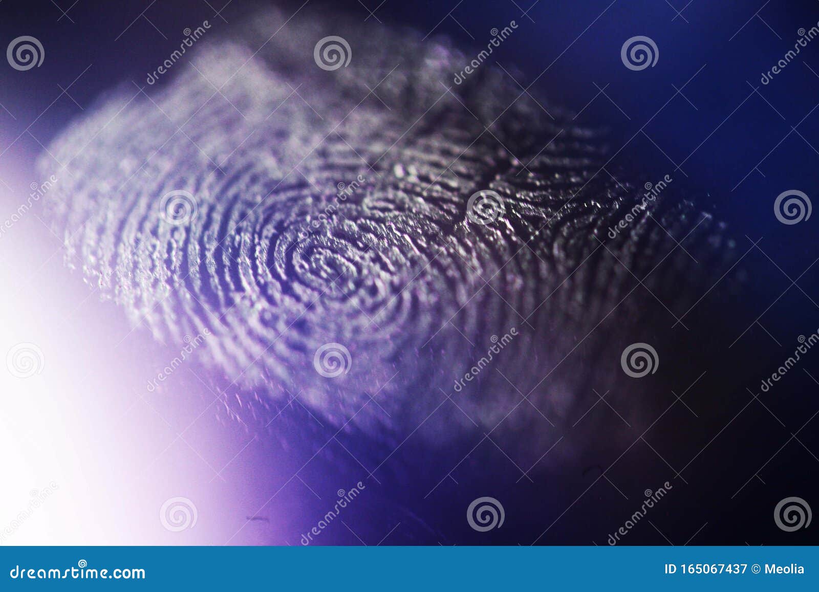 Fingerprint on a Transparent Surface Stock Image - Image of macro ...