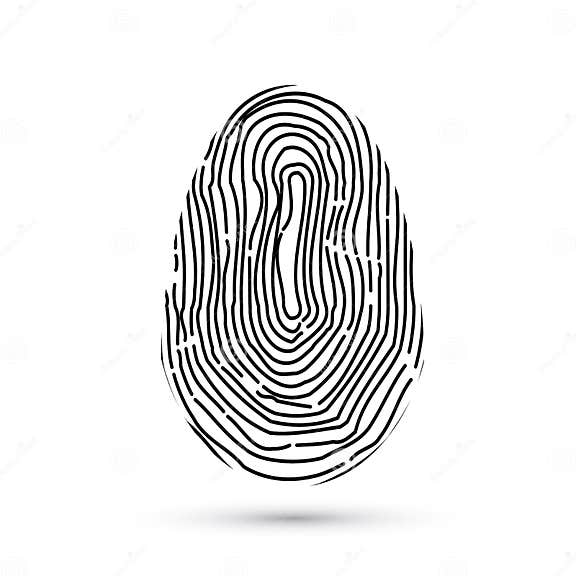 Fingerprint Vector Icons Isolated on Write with Shadow. Biometric ...