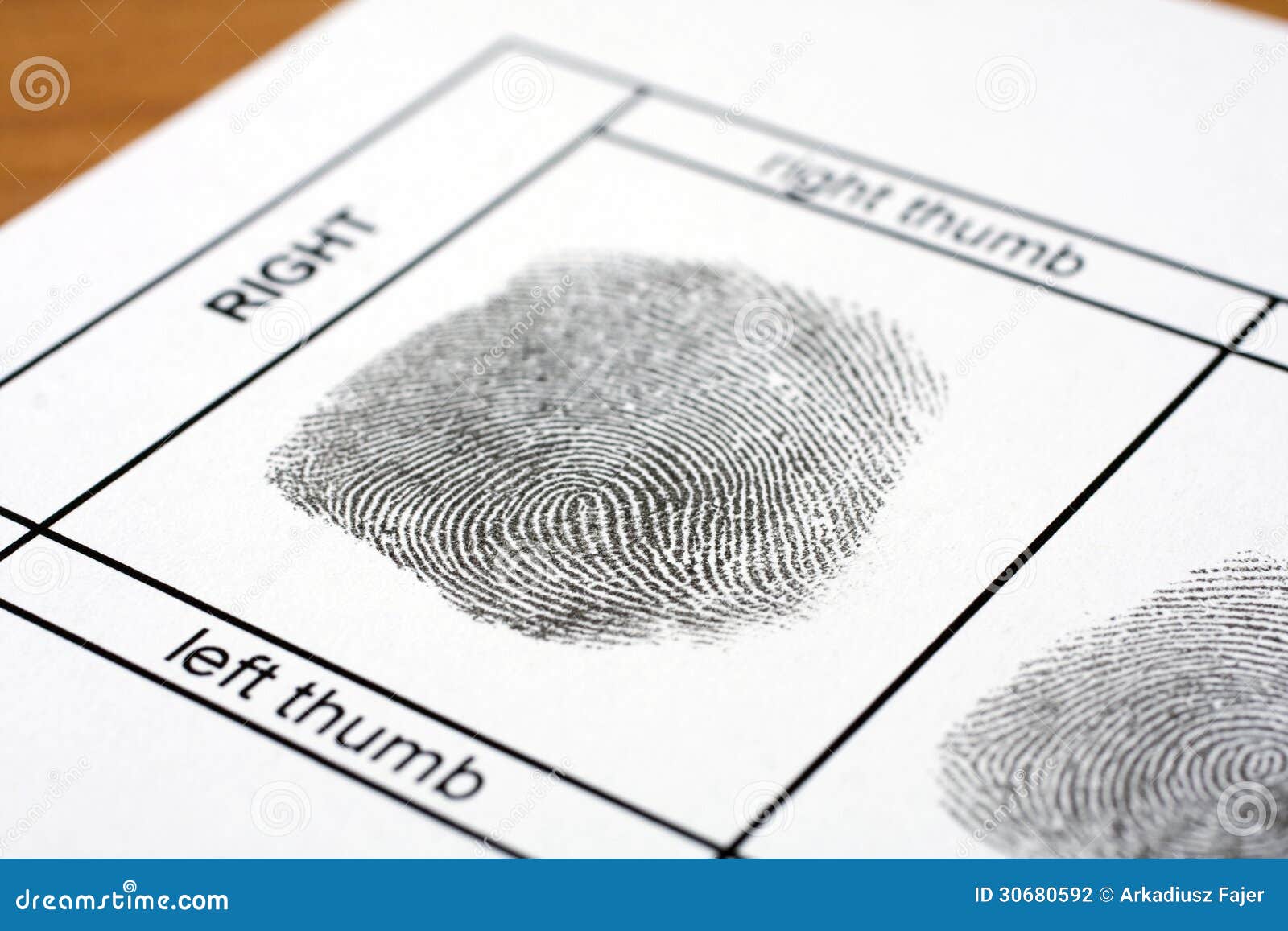 Fingerprint stock photo. Image of police, handprint, science - 30680592