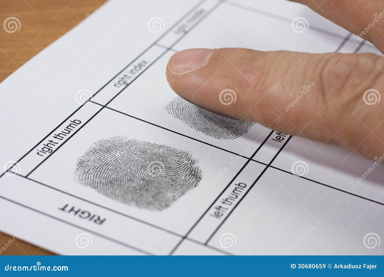 Fingerprint stock image. Image of single, palm, criminal - 30680659
