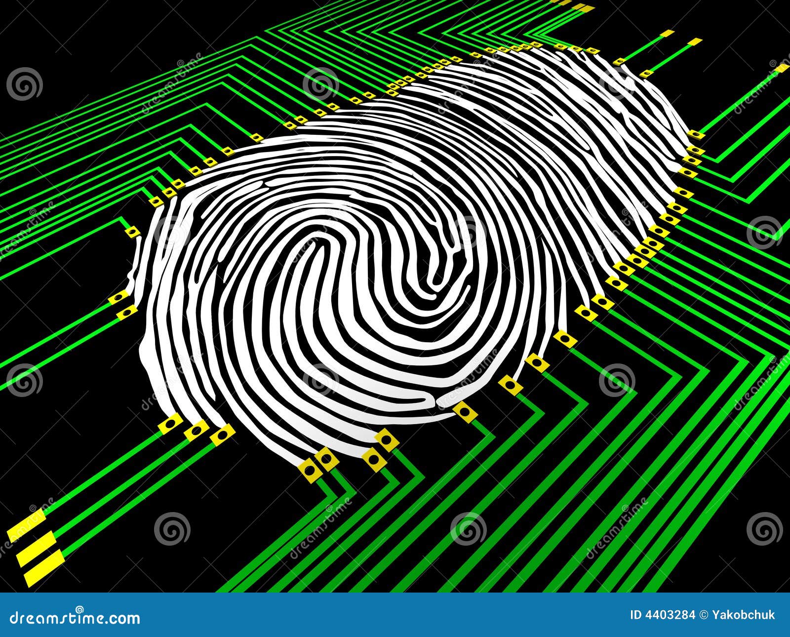 Fingerprinting stock illustration. Illustration of identification - 4403284