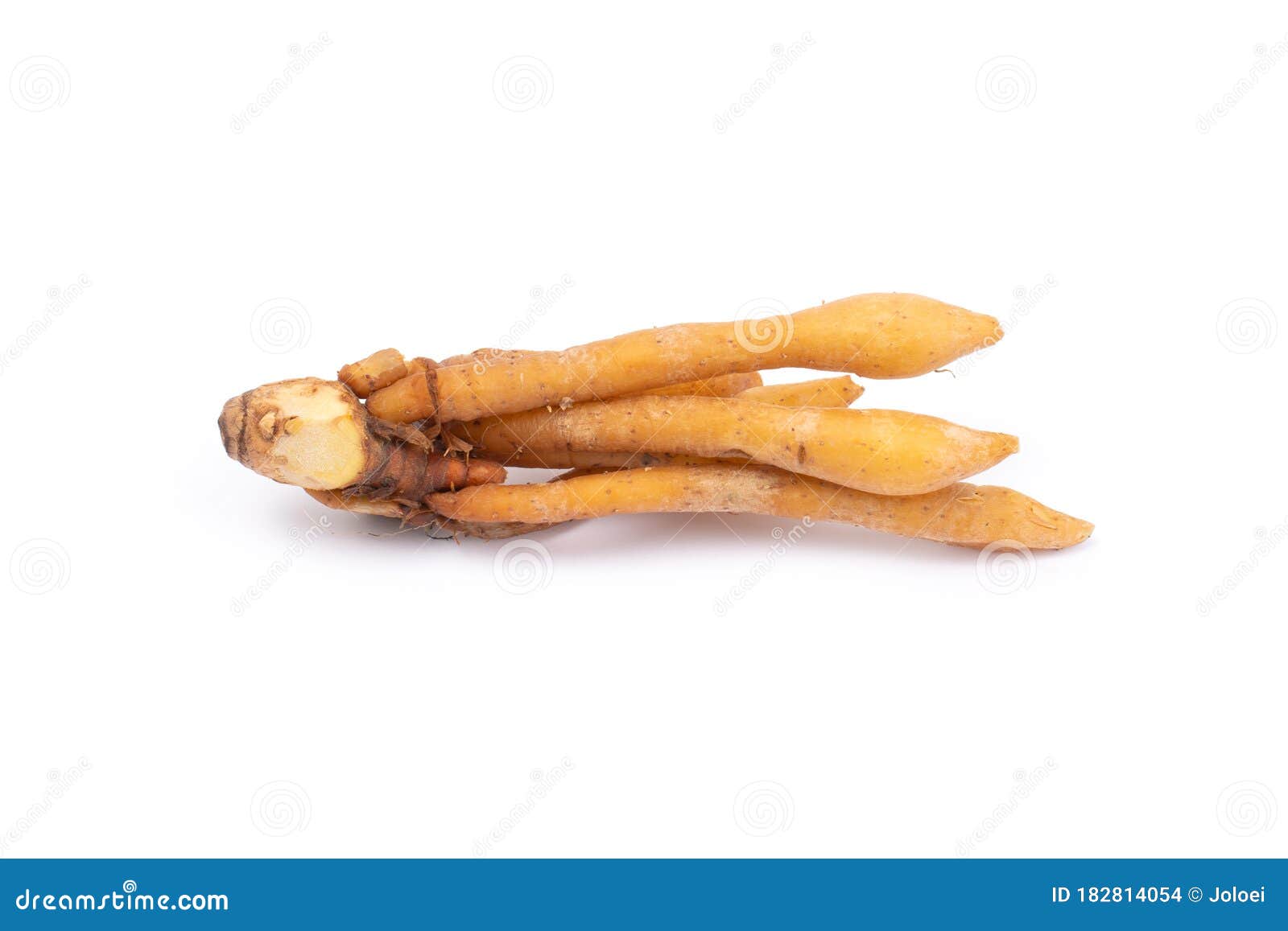 Fingerroot, Chinese Ginger, Chinese Key On The Soil Background Royalty ...