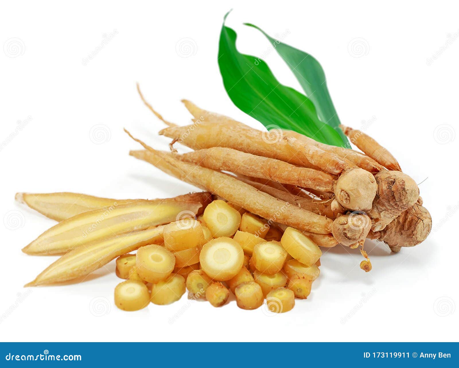 Galangal And Fingerroot, Kaempfer, Boesenbergia On White Background ...