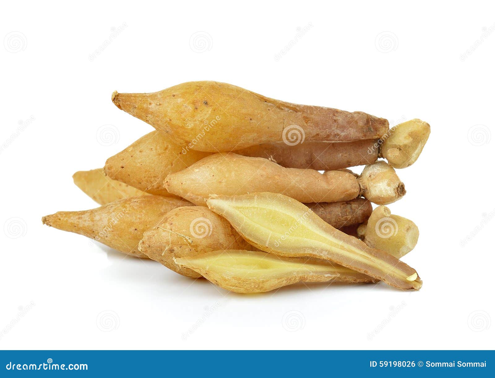 Fingerroot Or Boesenbergia Rotunda Or Chinese Galangal Royalty-Free ...