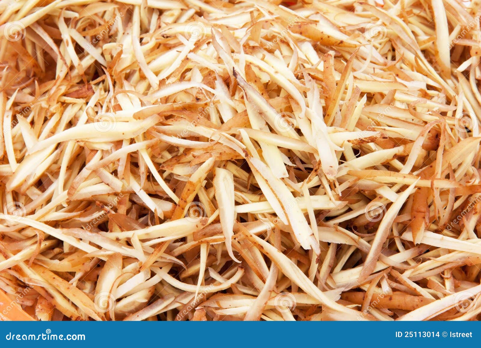 Fingerroot Slice, Kaempfer, Boesenbergia On White Background Stock ...