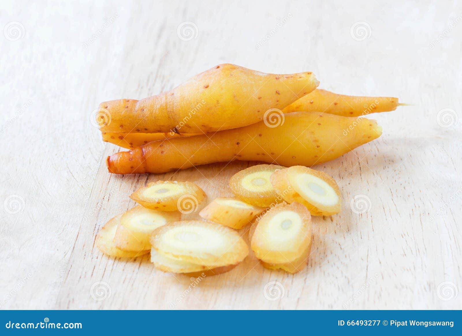 Fingerroot stock image. Image of ingredient, herbaceous - 66493277