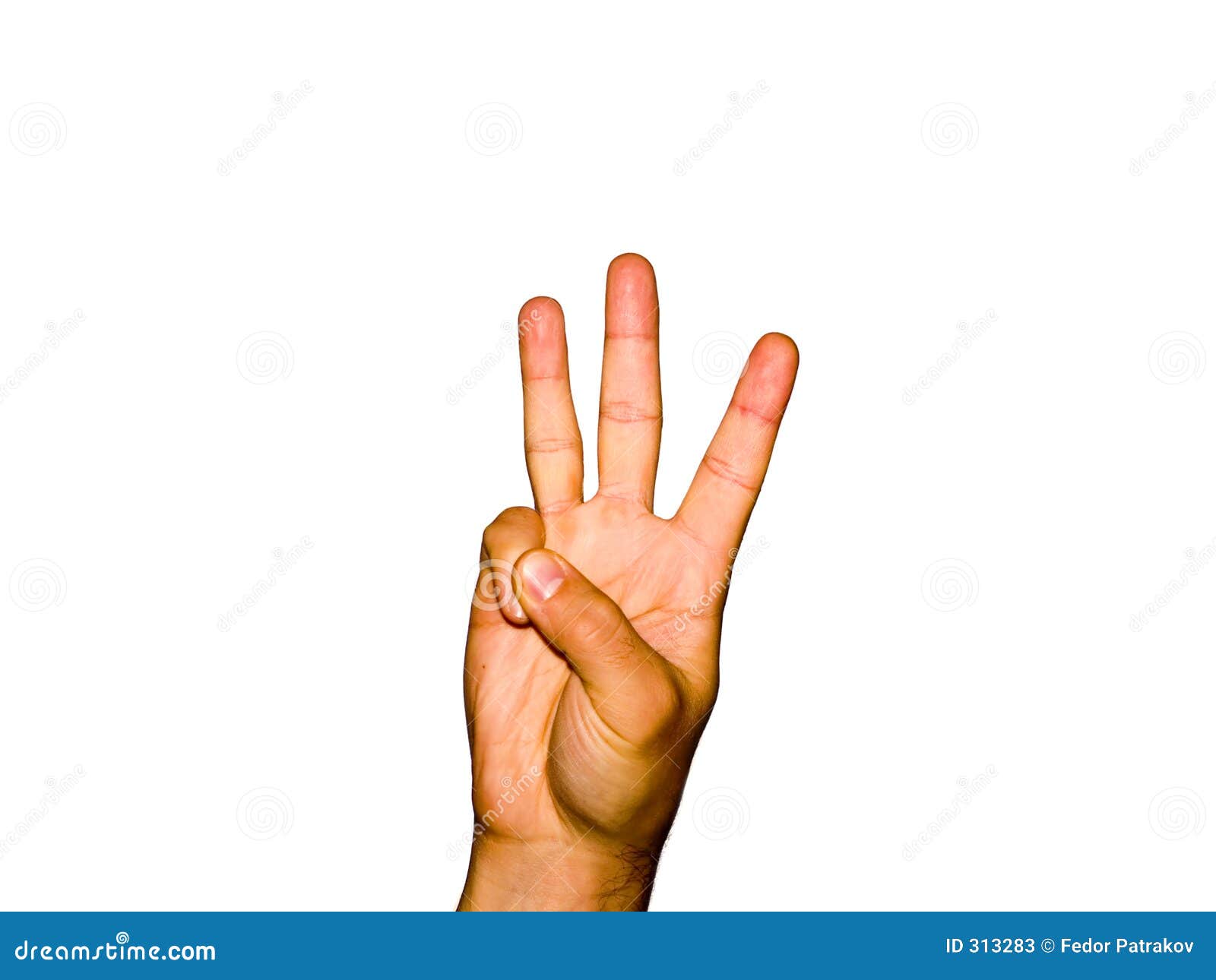 Fingers [3] stock image. Image of wrist, skin, think, hand - 313283