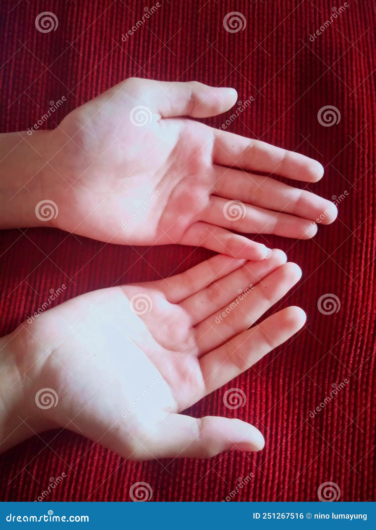 The Fingers of the Human Body Hand Stock Photo - Image of human ...