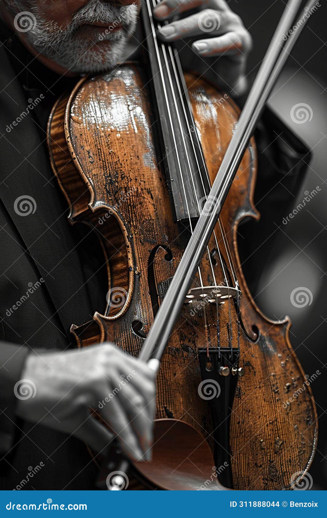 Fingers Plucking the Strings of a Violin Stock Photo - Image of finger ...