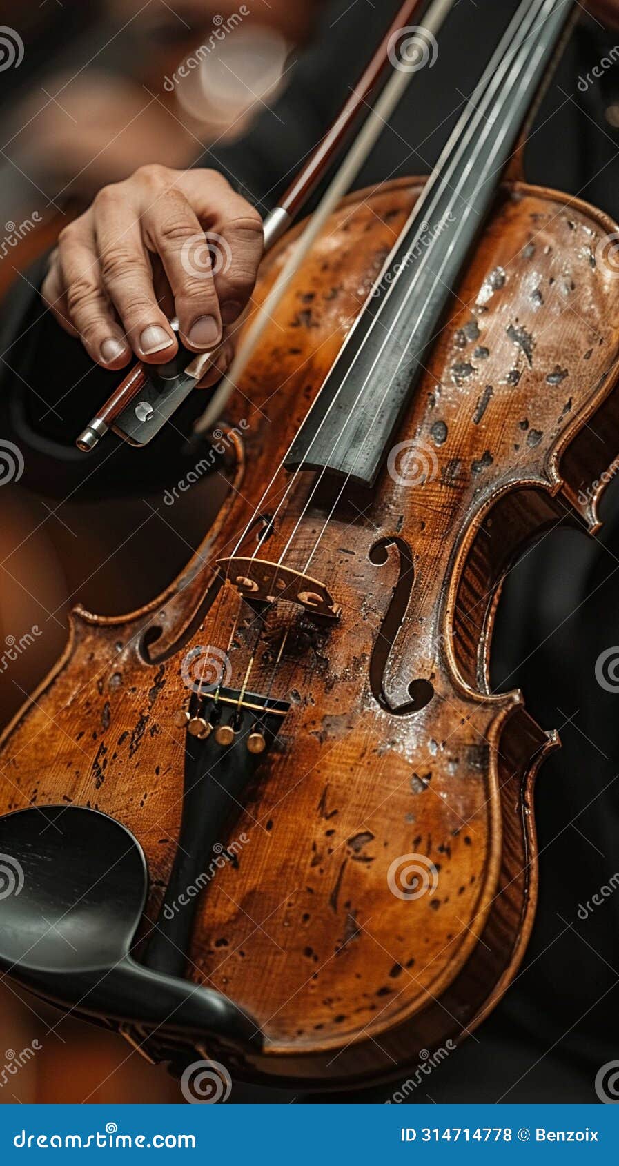 Fingers Plucking the Strings of a Violin Stock Photo - Image of inspire ...