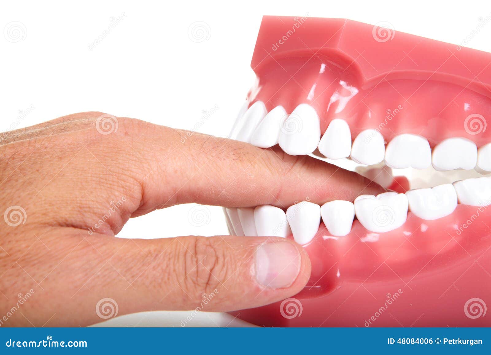 Fingers and teeth stock photo. Image of tooth, finger - 48084006