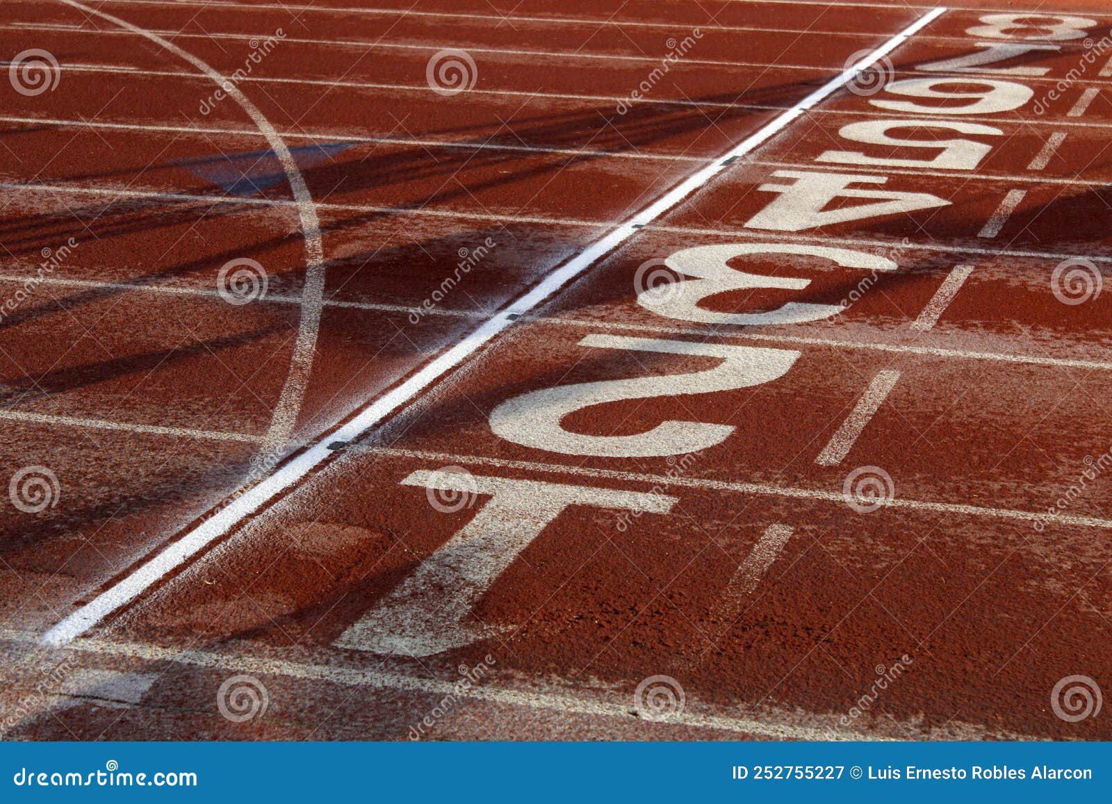 Finish Line of an Athletic Track Stock Image - Image of competition ...