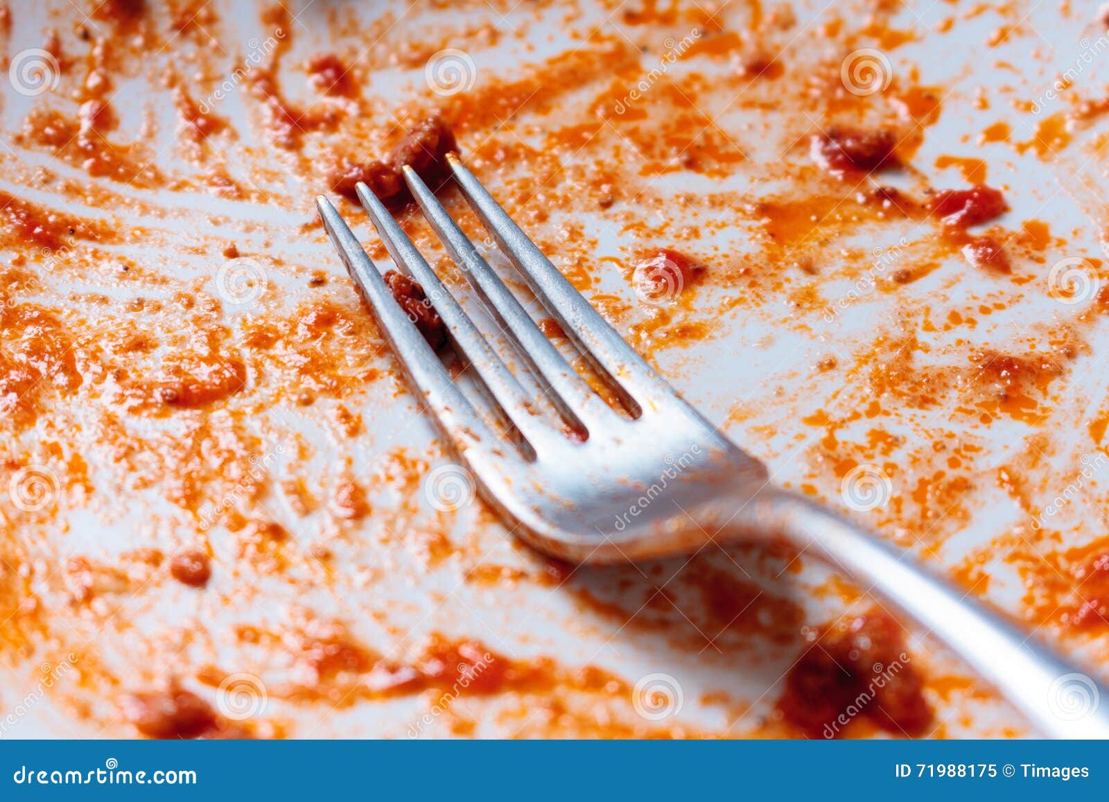 Finished plate stock image. Image of leftovers, dinner - 71988175