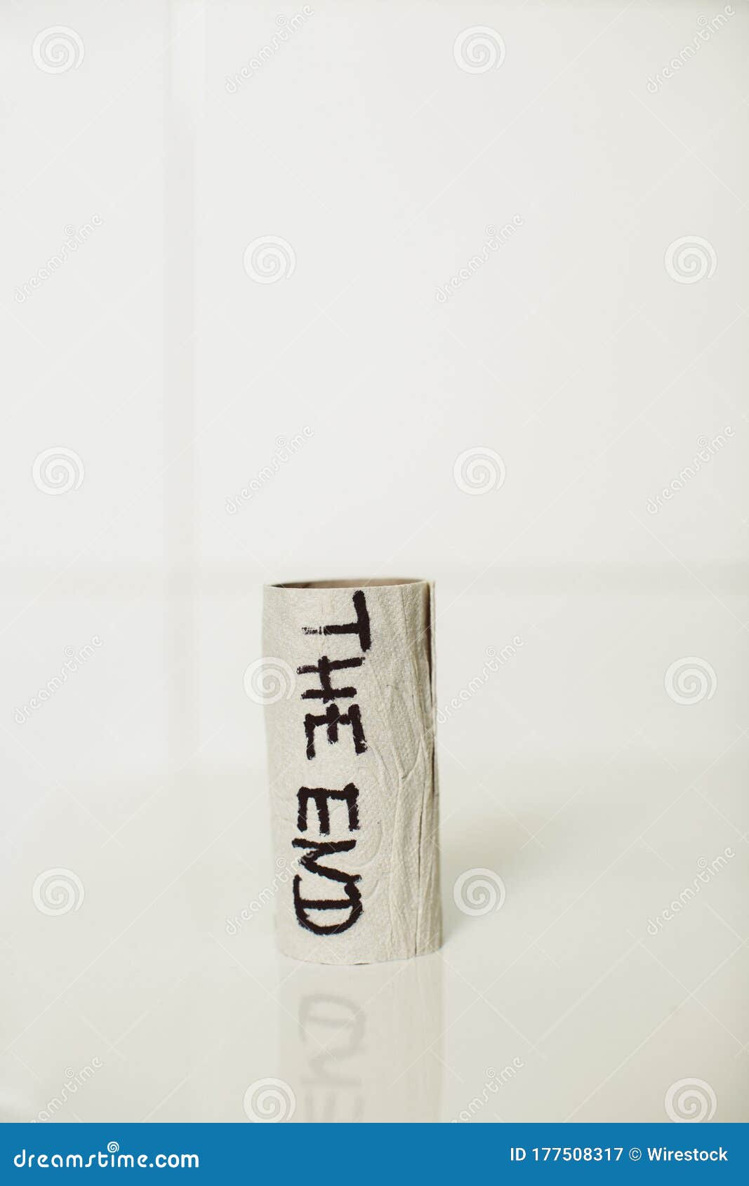 Finished Toilet Paper Roll with the End Note - Panic because of the ...
