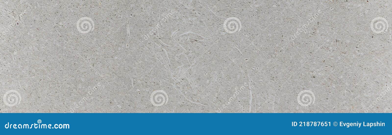 Finishing Stone, Crustacean Shell, Sedimentary Rock Stock Image - Image ...