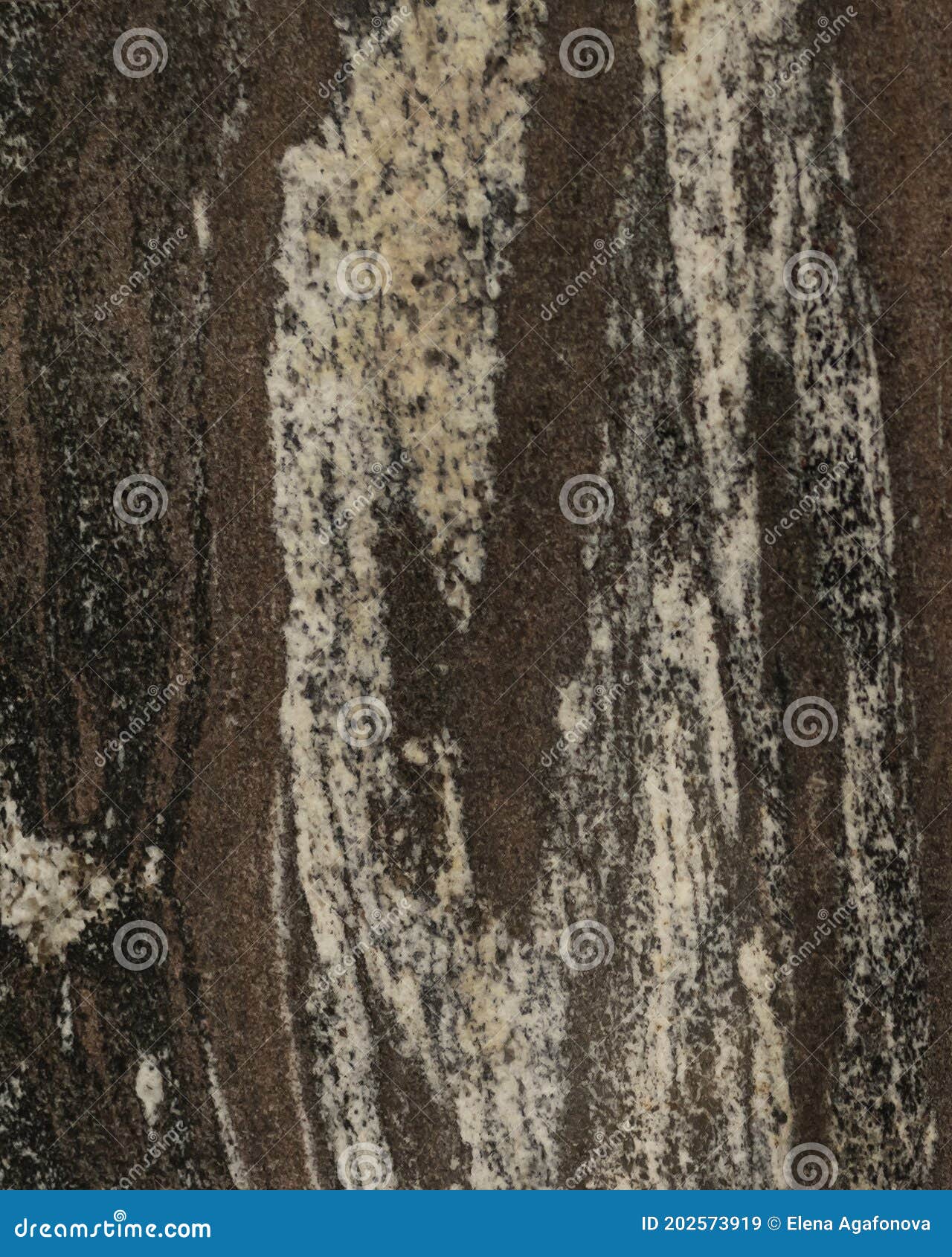 The Finishing Stone. the Garnet Amphibolite Stock Image - Image of ...