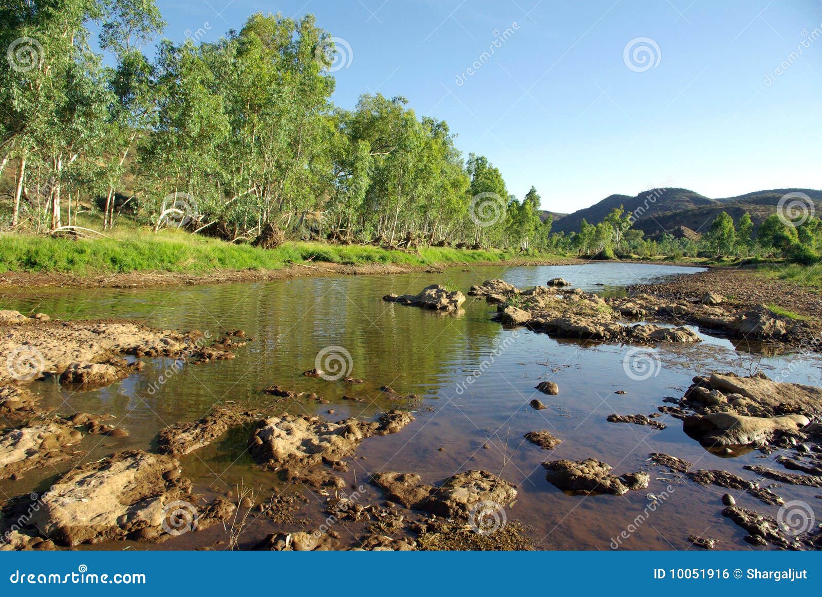 Finke River, Australia stock photo. Image of feature - 10051916