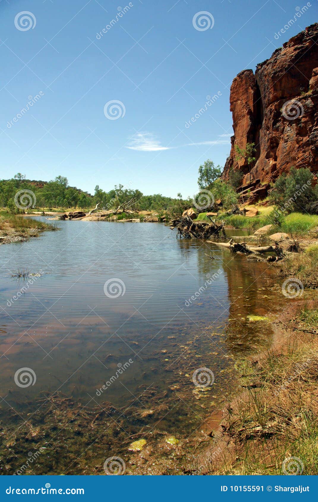 Finke River, Australia stock image. Image of australia - 10155591