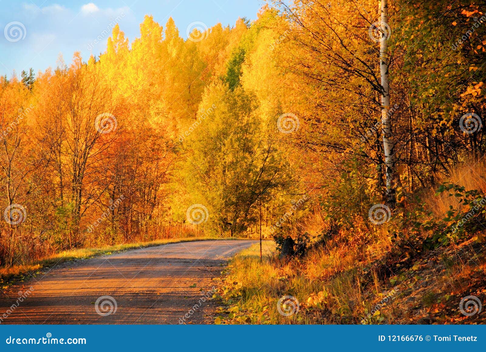 Finland: Autumn colors stock photo. Image of europe, dirt - 12166676