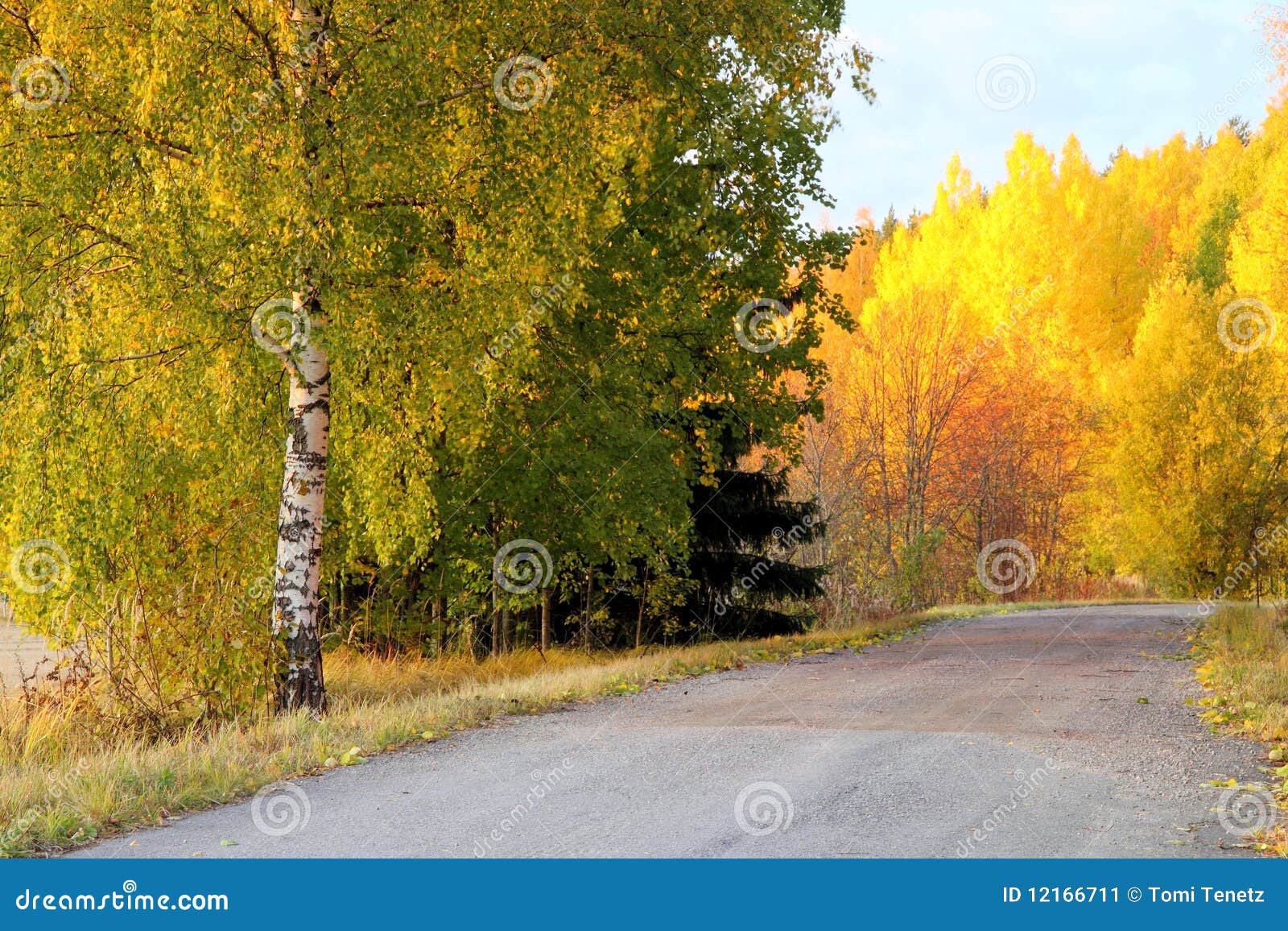 Finland: Autumn colors stock image. Image of suomi, autumn - 12166711