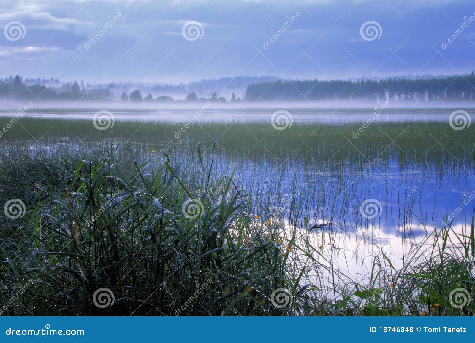 Finland: Blue night stock photo. Image of tranquil, blue - 18746848