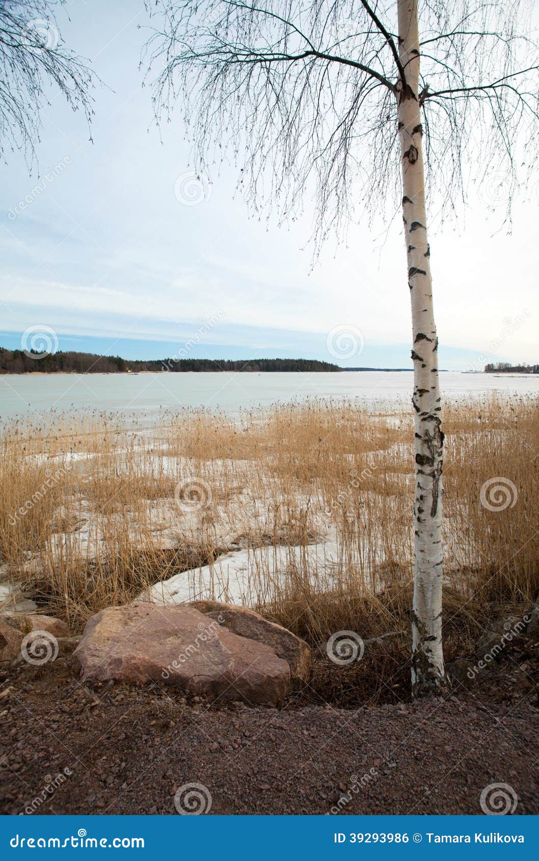 Finland, early spring stock photo. Image of scandinavia - 39293986