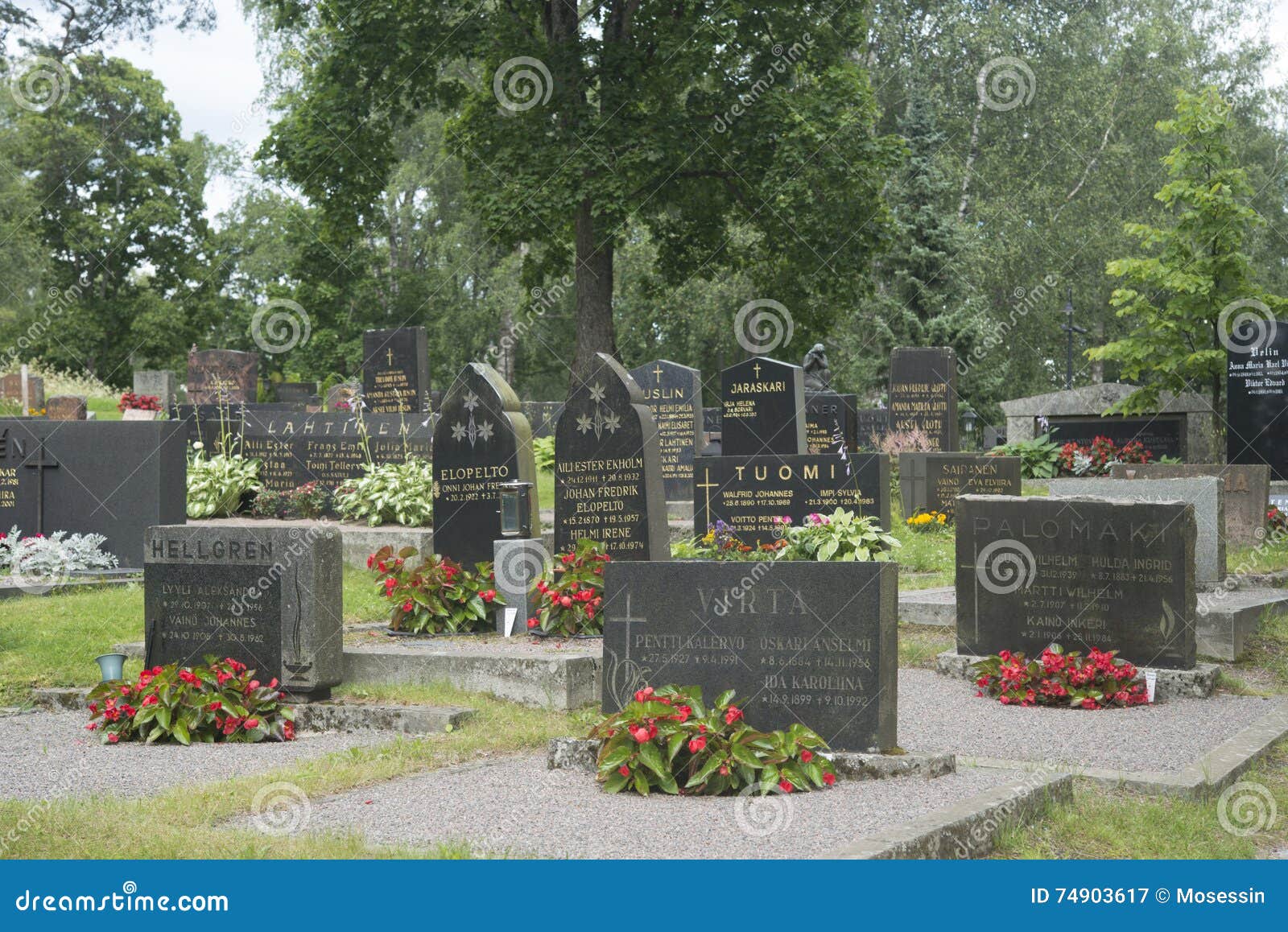 Finland Grave landscape editorial photography. Image of memory - 74903617