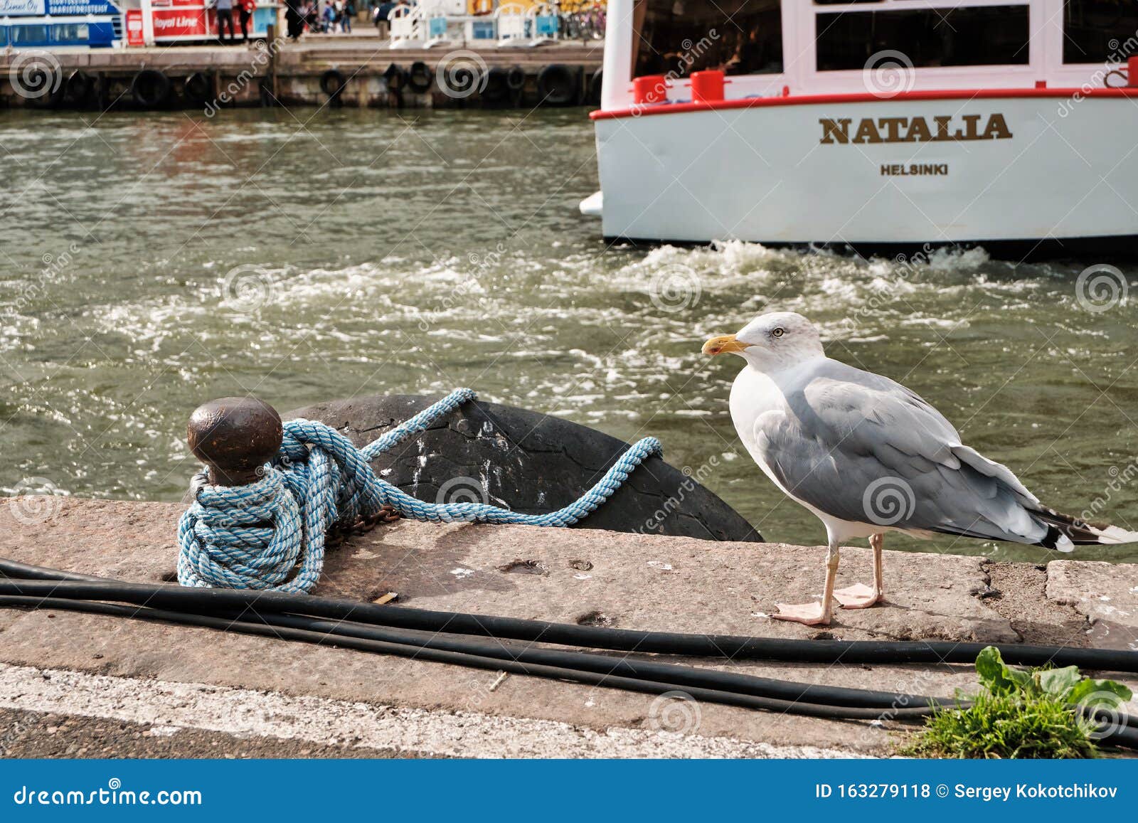 Finland. Bird on the Pier in Helsinki. September 16, 2018 Editorial ...
