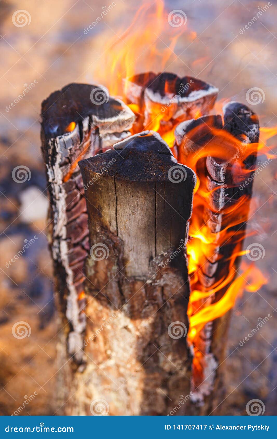 Finnish Candle Burns with a Bright Flame Stock Image - Image of forest ...