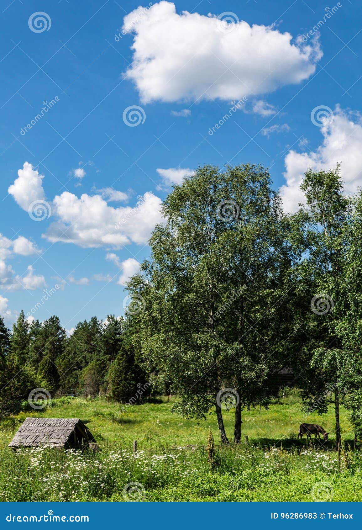 Finnish countryside stock image. Image of cabin, village - 96286983