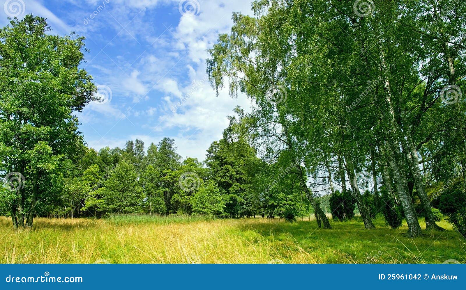 Finnish Countryside Landscape in the Summer Stock Photo - Image of ...