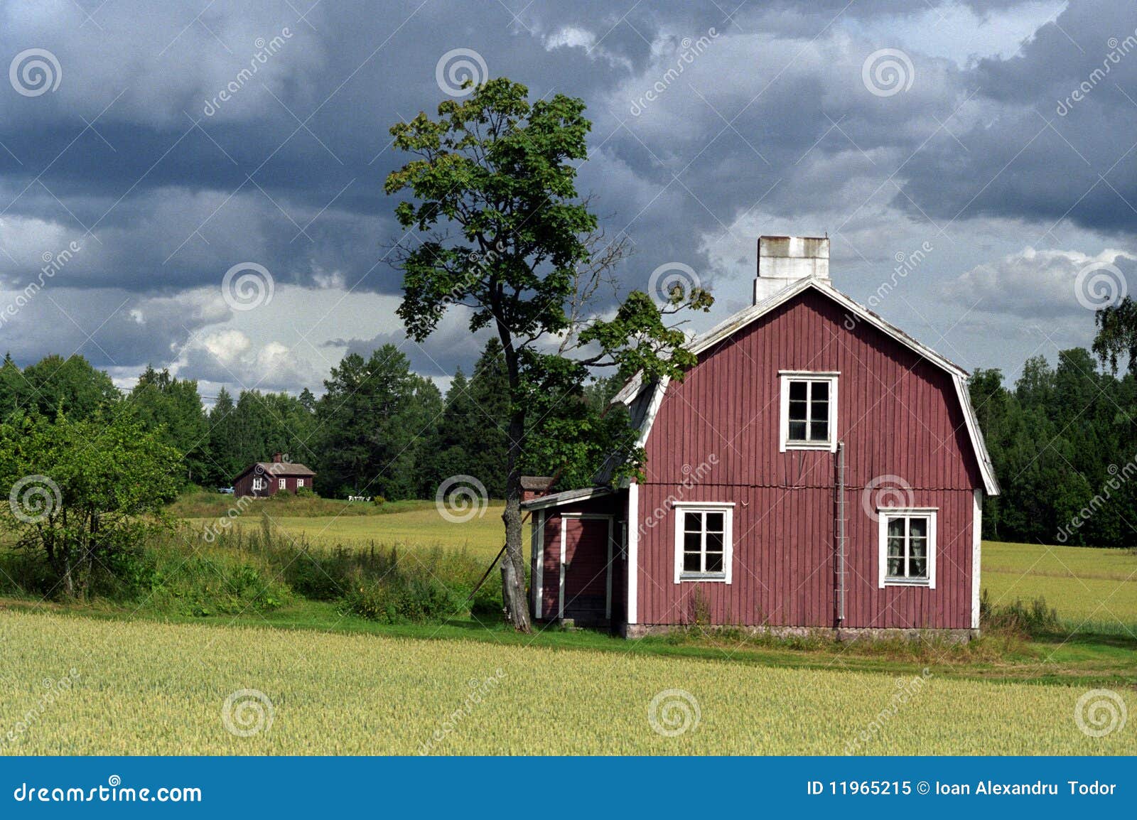 Finnish farm stock image. Image of cereal, home, finland - 11965215
