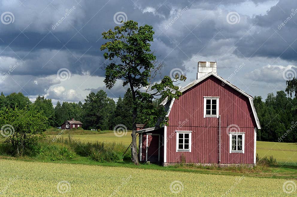 Finnish farm stock image. Image of cereal, home, finland - 11965215