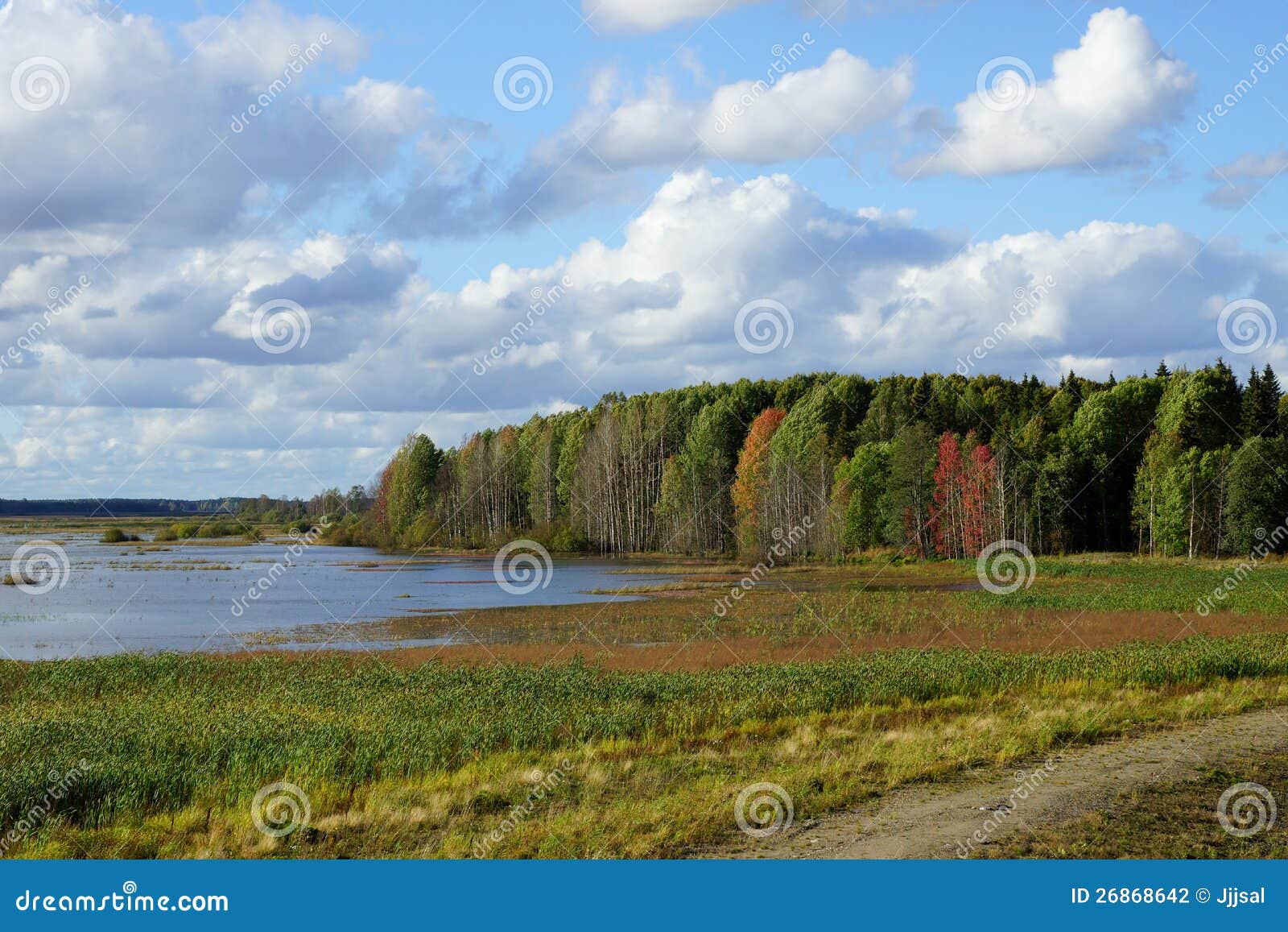 Finnish landscape stock photo. Image of conservation - 26868642