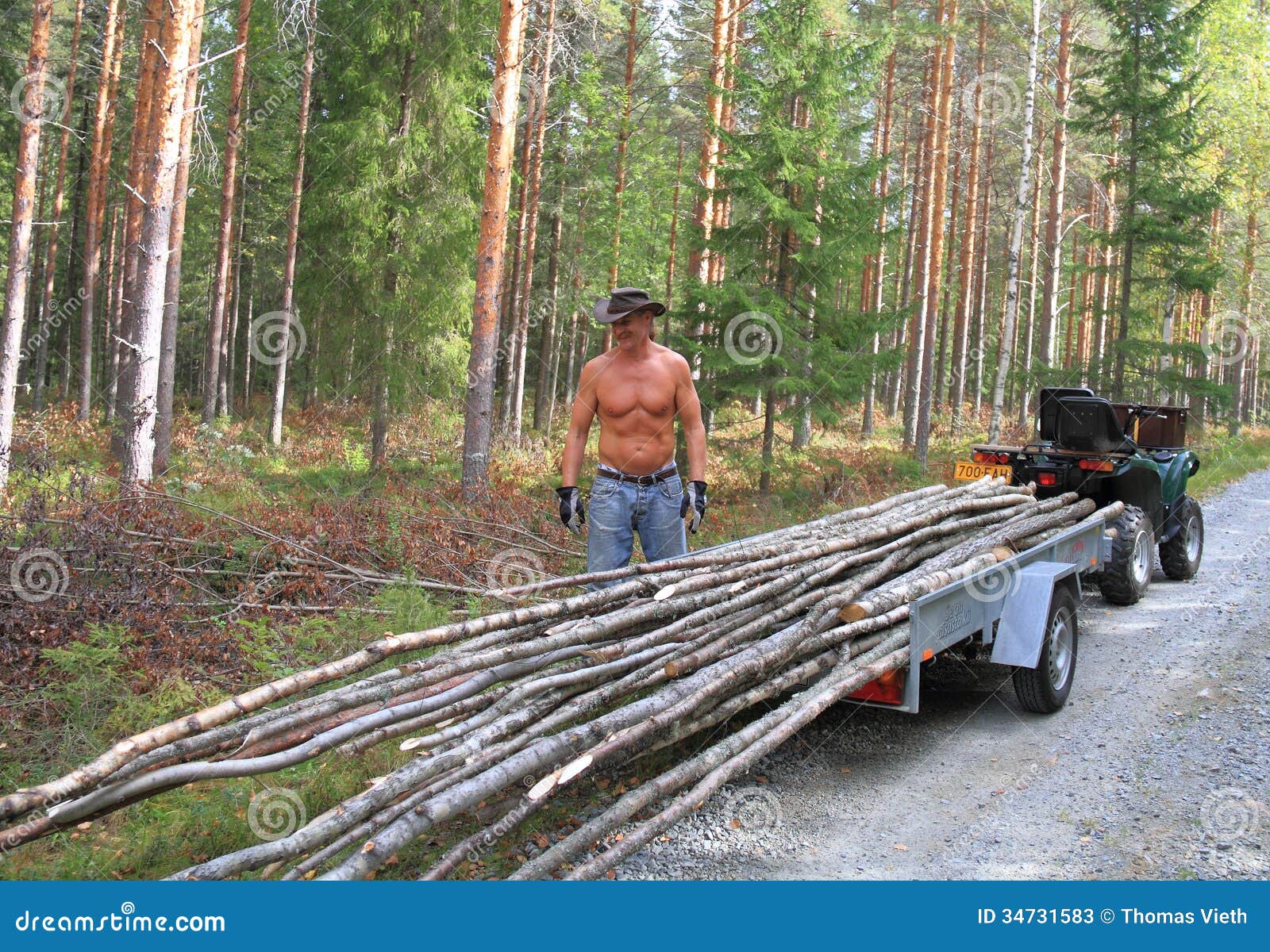 Finland: Cowboy logger editorial stock photo. Image of pine - 34731583