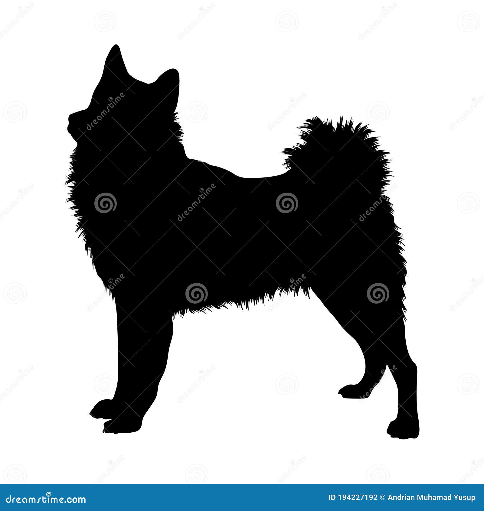 Finnish Spitz Dog Drawing Coloring Book Page Royalty-Free Stock Photo ...