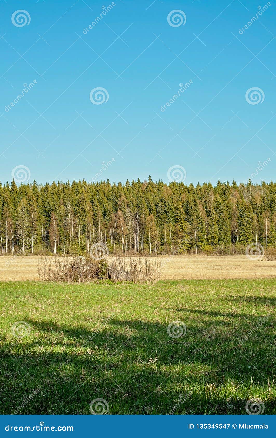 Finnish Summer As it is! Beautiful Nature in Finland Includes Lots of ...