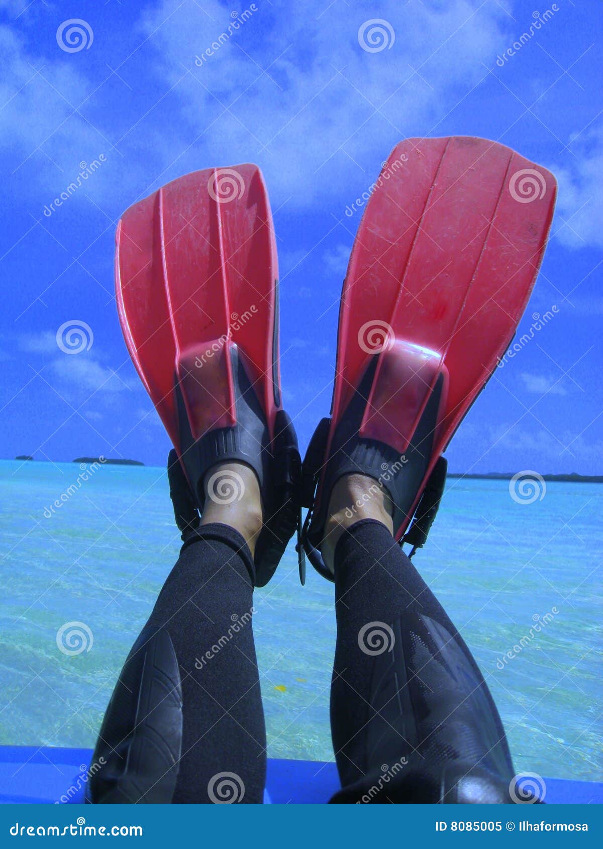 Fins on legs stock image. Image of leisure, clipped, path - 8085005