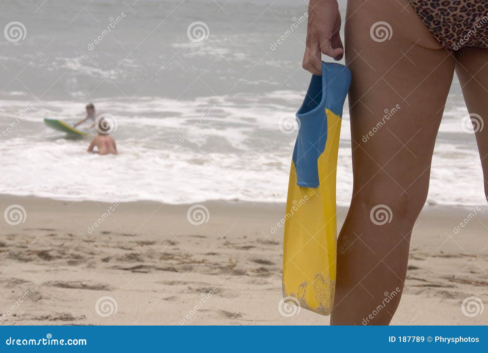 Fins To Swim With Stock Image Image Of Swim Outdoors 187789