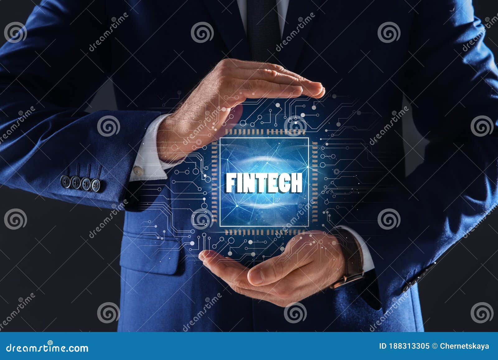 Fintech Concept. Man Demonstrating Chip and Schemes Stock Image - Image ...