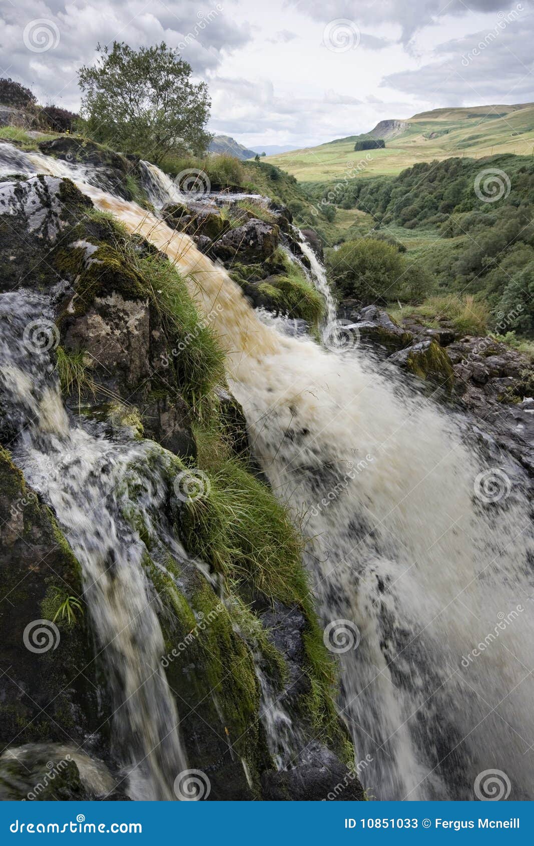 Fintry Loup Waterfall stock image. Image of nature, scotland - 10851033