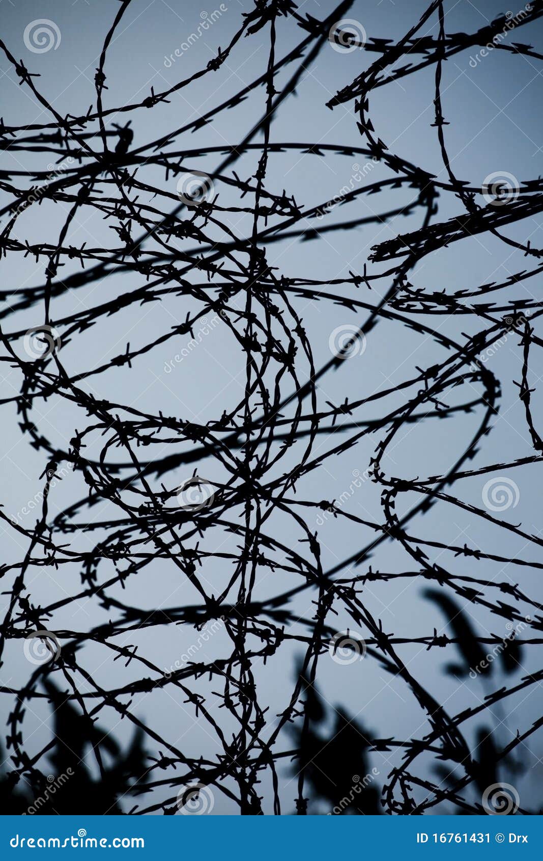 Fio da farpa imagem de stock. Imagem de cerca, prumo - 16761431