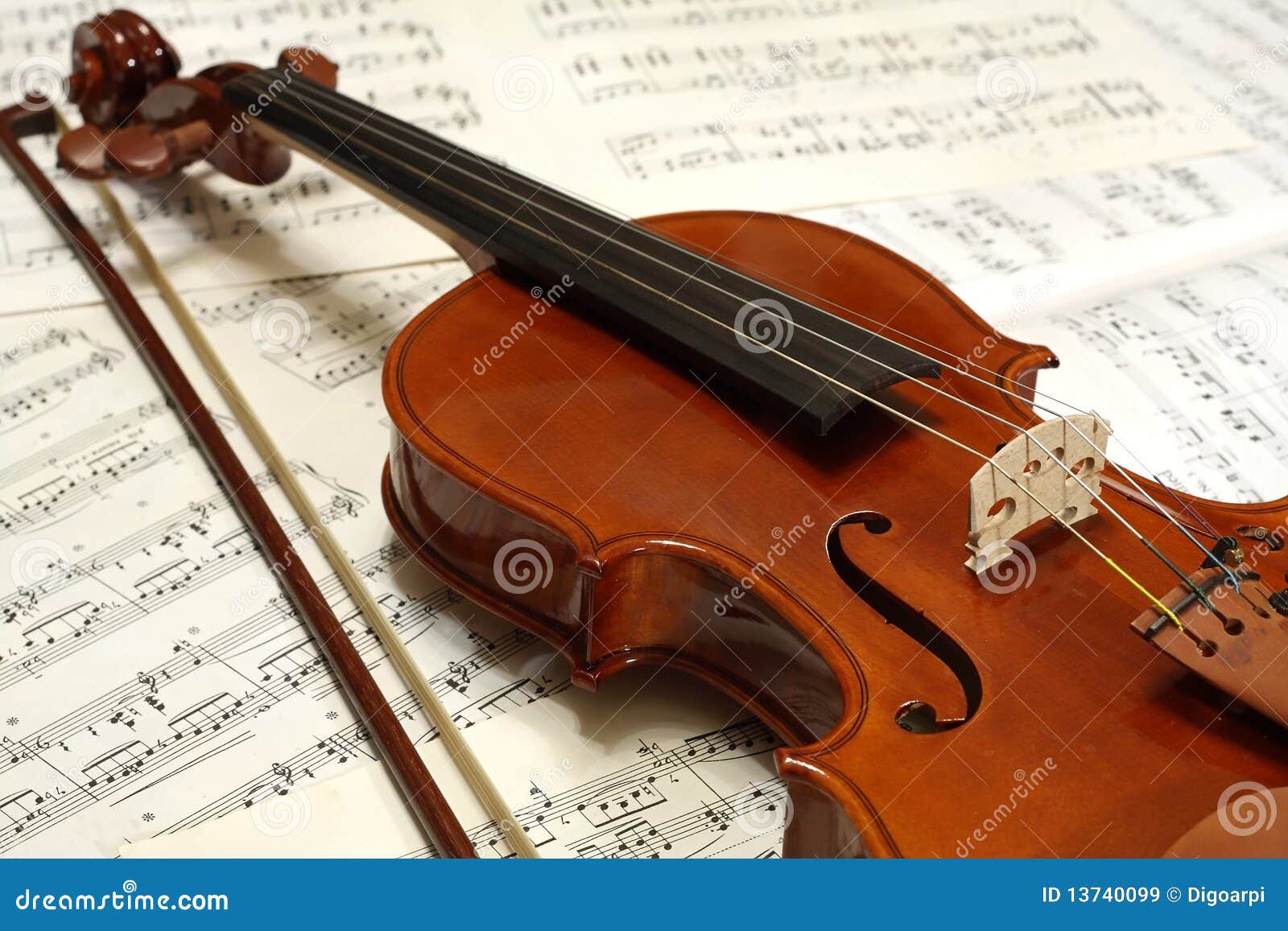 Fiol fotografering för bildbyråer. Bild av kronärtskockan - 13740099