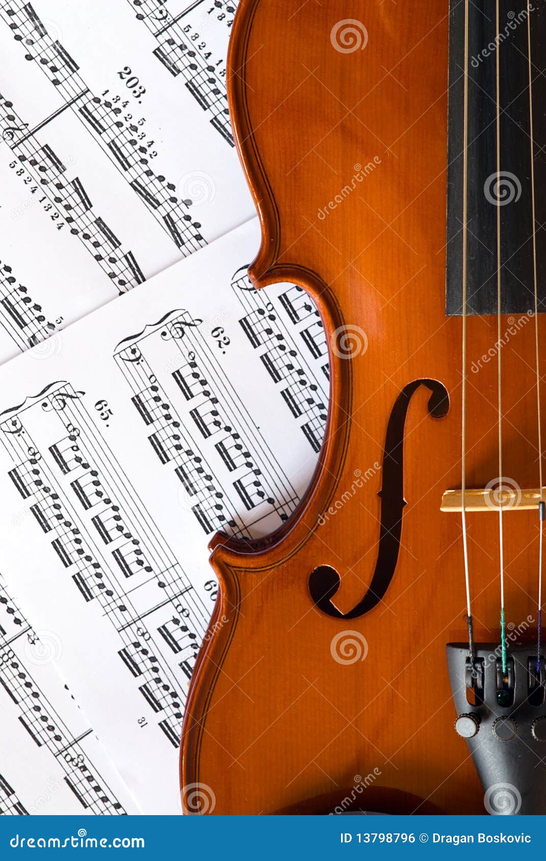 Fiol arkivfoto. Bild av baser, mozart, idé, konsert, musikal - 13798796