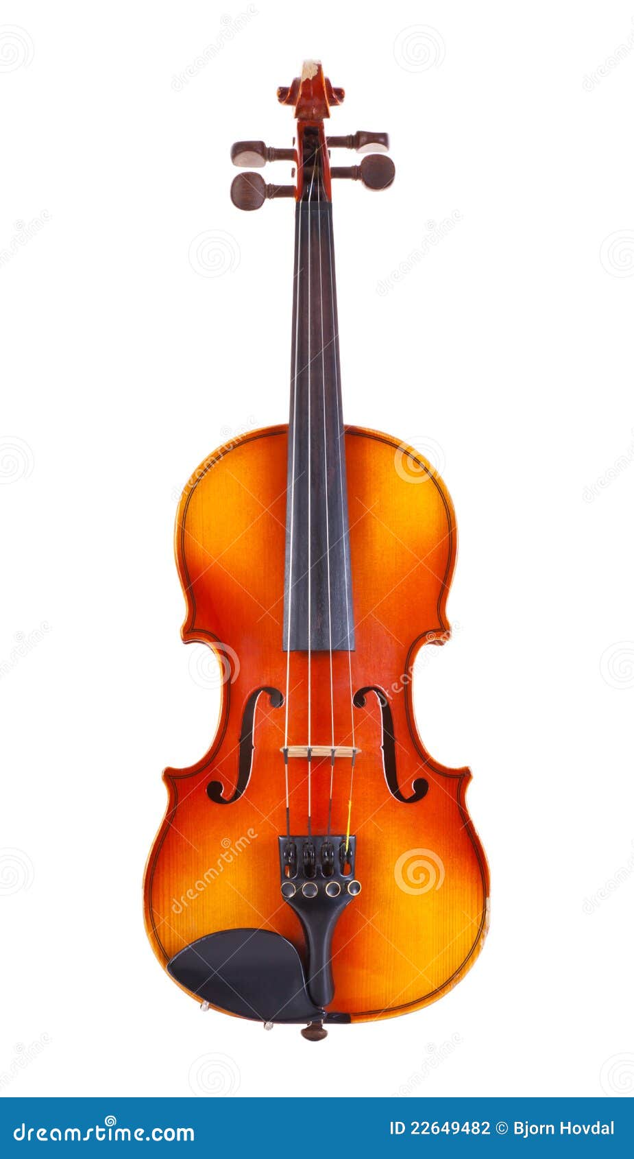 Fiol arkivfoto. Bild av fiol, isolerat, lurendrejeri - 22649482