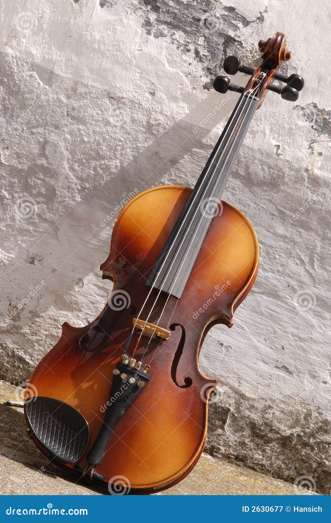 Fiol fotografering för bildbyråer. Bild av bakgrund, konsert - 2630677